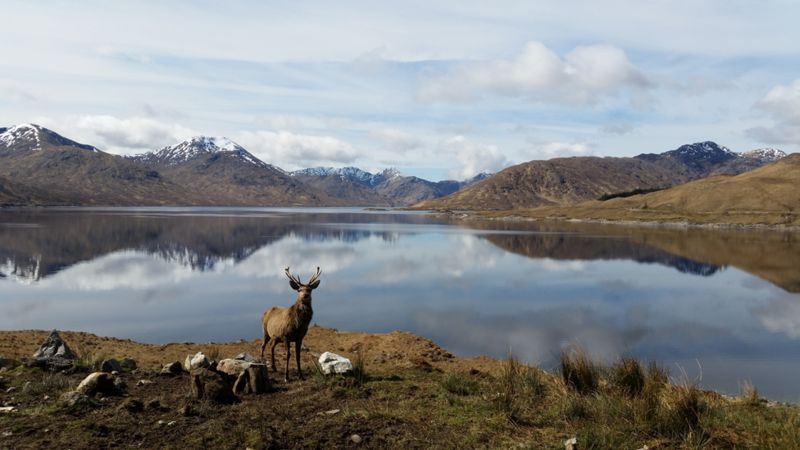 Your pictures of Scotland: 22-29 April - BBC News