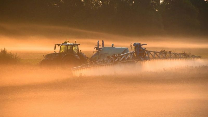 Intensive farming 'least bad option' for food and environment - BBC News