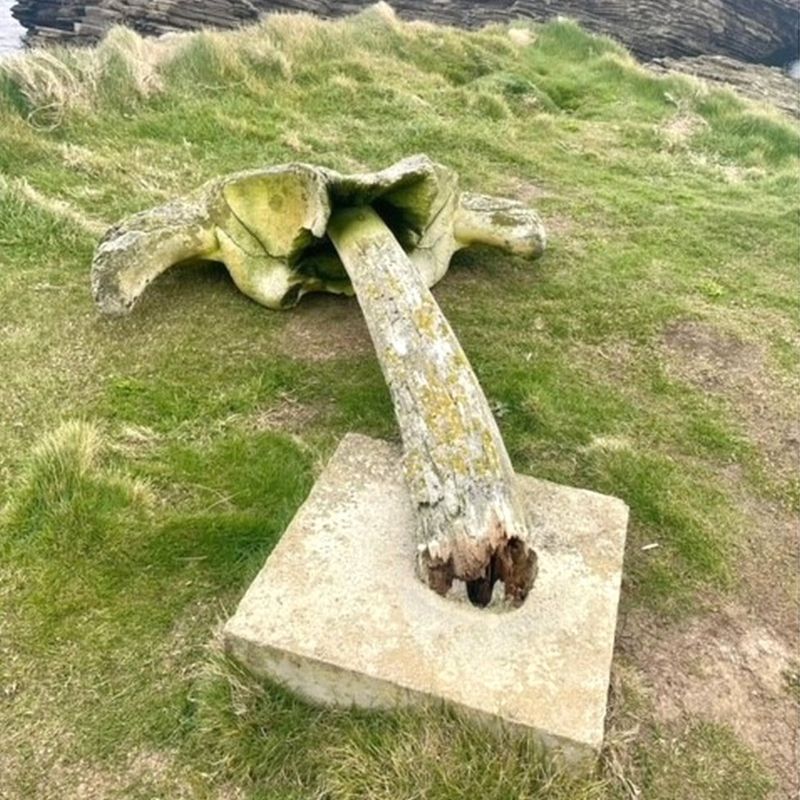 Beloved whalebone landmark in Orkney toppled by wind - BBC News
