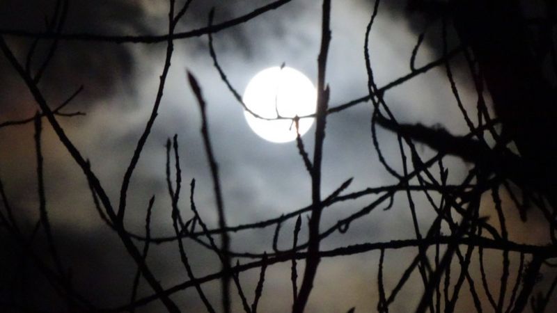 Your pictures: Super blue Moon lights up Scotland's skies - BBC News