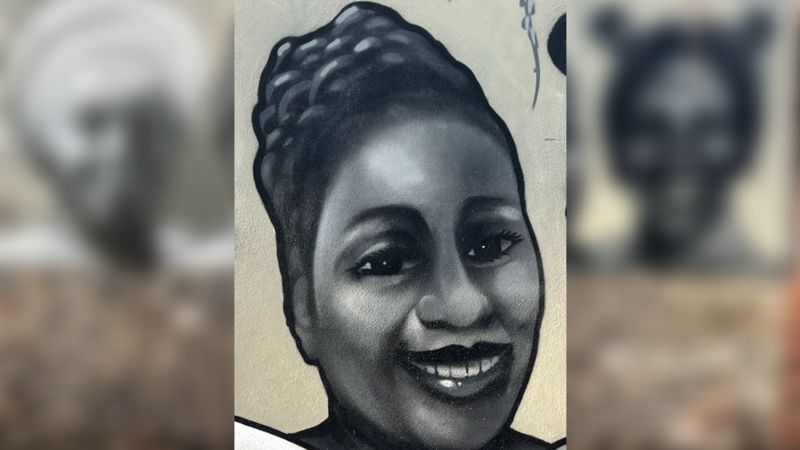 Mural celebrates 'unsung heroes' of Felix Road Playground - BBC News