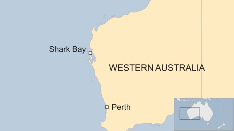UK diver swims to safety after Australia shark scare - BBC News