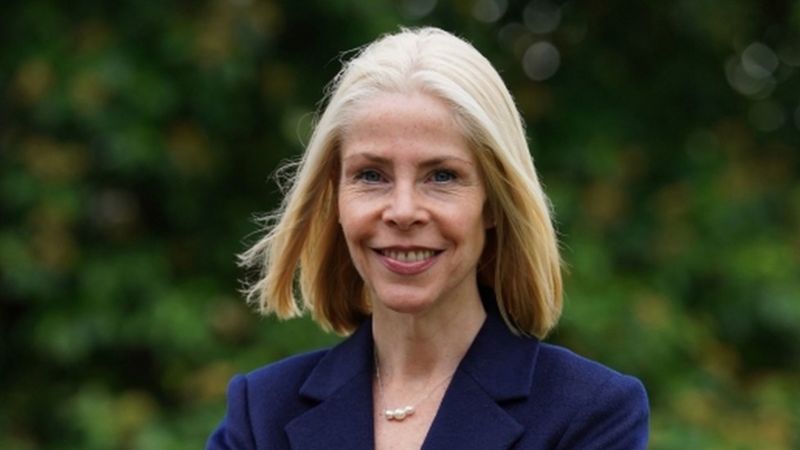 Covid expert given government adviser role - BBC News