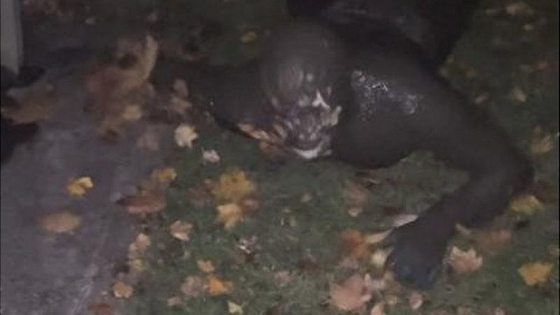 North Somerset 'gimp' sightings: Teen describes freaky encounter - BBC News