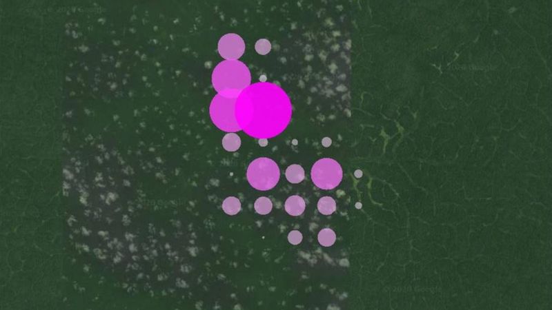 Endangered species: Gunshot detection technology deployed - BBC News