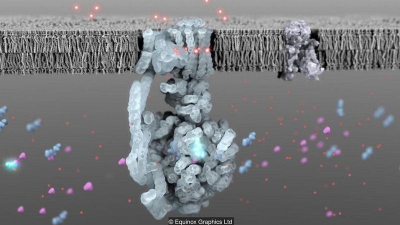 As teorias para o surgimento das primeiras células - e da vida na Terra ...
