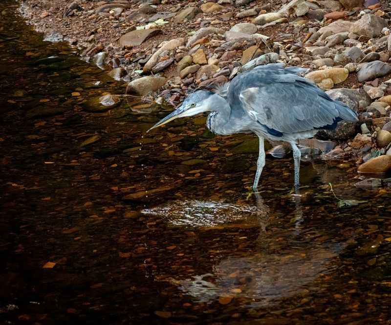 Your pictures of Scotland: 22-29 September - BBC News