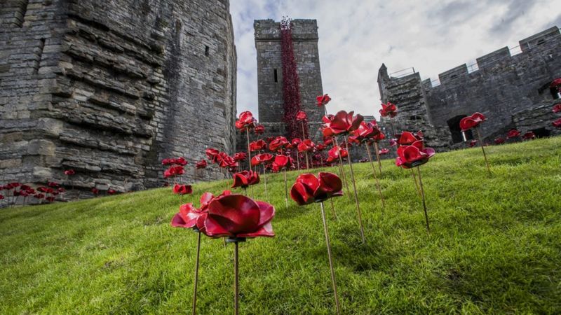 WW1 Weeping Window poppies on show at Caernarfon Castle - BBC News