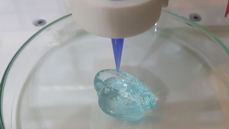 The firm that can 3D print human body parts - BBC News