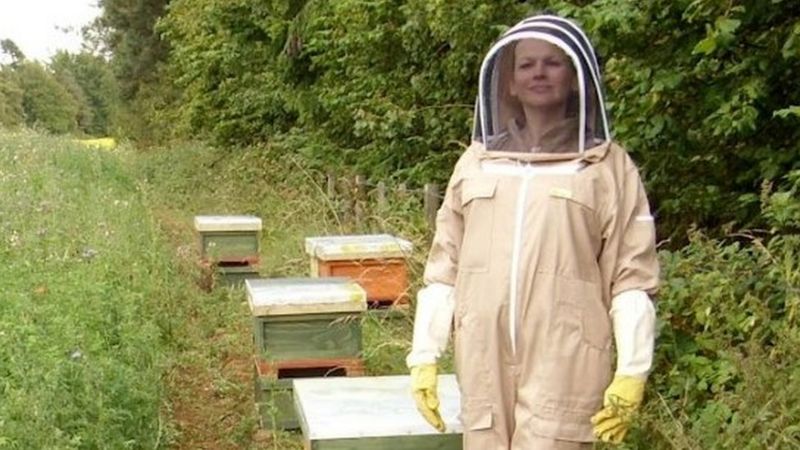 Beekeepers restore old Shrewsbury well buildings - BBC News