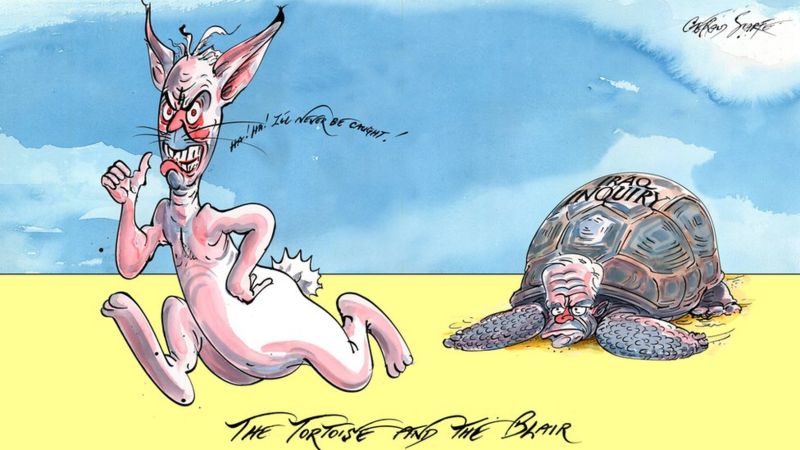 Animals and the political cartoonist - BBC News