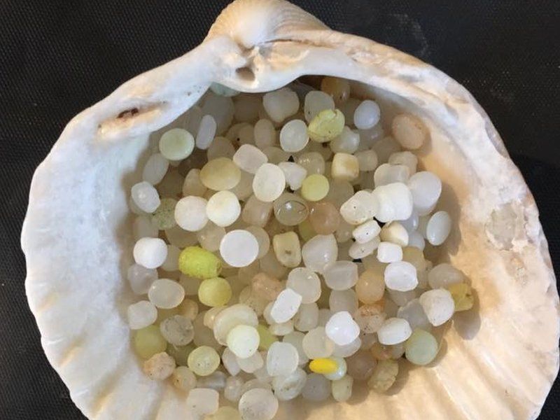 Who are the nurdle hunters on Britain's beaches? - BBC News