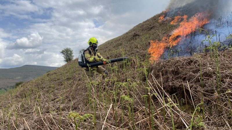 Firefighters using treated sewage water after droughts - BBC News