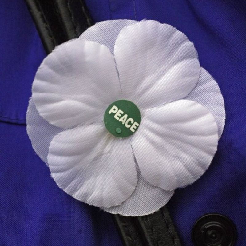 White poppy: How is it different from the red remembrance symbol? - BBC ...