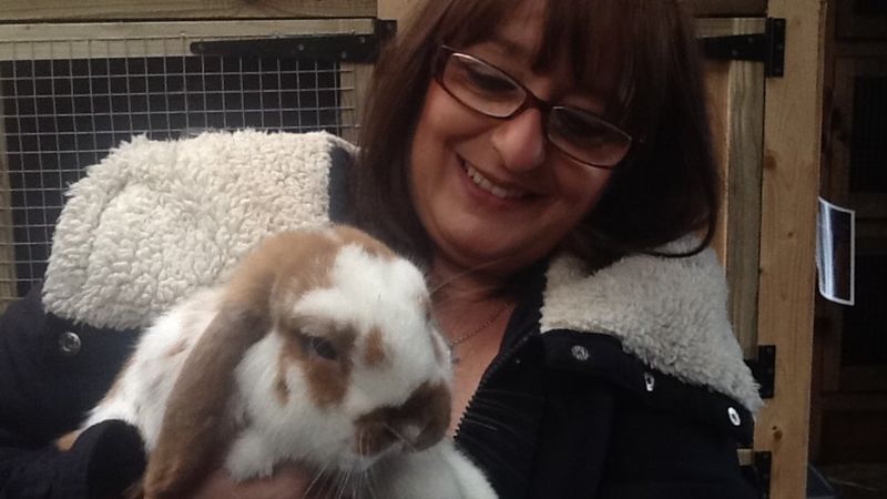 Jack the rabbit treated for aggressive behaviour - BBC News