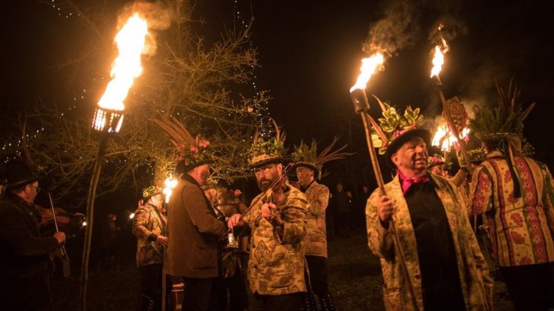 In pictures: Here we come a-wassailing - BBC News