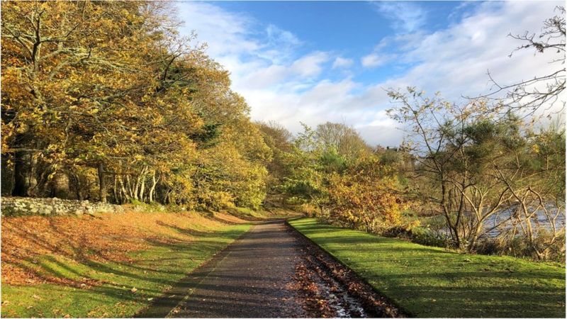 Why is the weather so warm this November? - BBC News