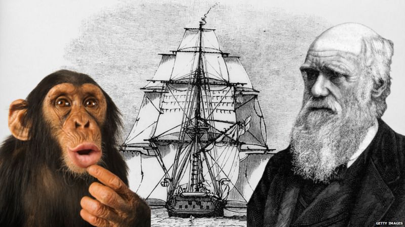 Charles Darwin Day: Who was he and why is he famous? - BBC Newsround