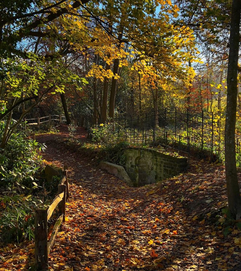 England's Big Picture: 29 November - 5 December - BBC News
