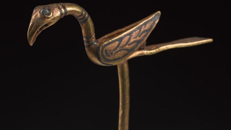 Galloway Viking hoard campaign hits funding landmark - BBC News