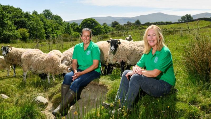 Newton Rigg College farm sale will promote outdoor learning - BBC News