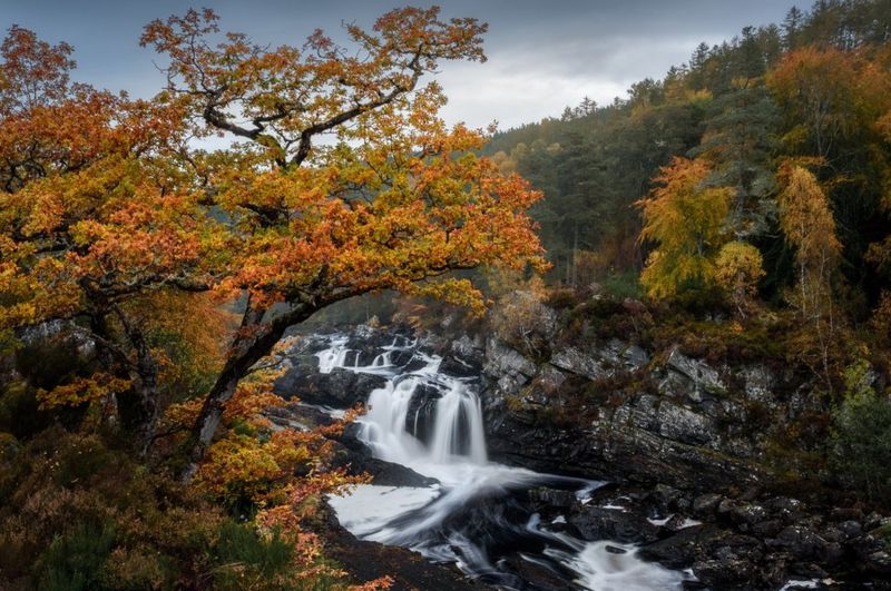Your pictures of Scotland: 18 - 25 October - BBC News