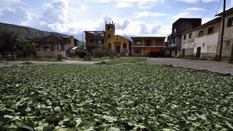 Los afrobolivianos: así es la vida en uno de los últimos reinos de ...