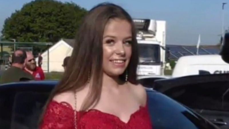 Bobbi-Anne McLeod: Man admits teenager's murder - BBC News