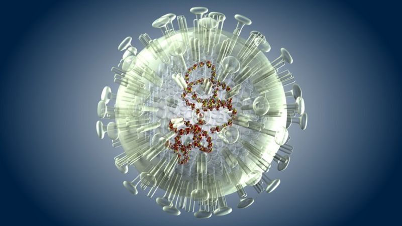 'First flu' affects lifetime risk - BBC News