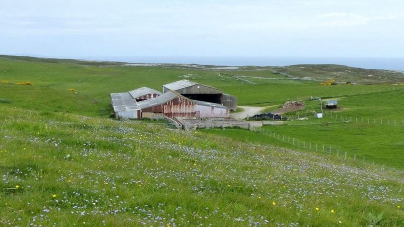 £1 tenant moves on to £1m Parc Farm, Great Orme - BBC News