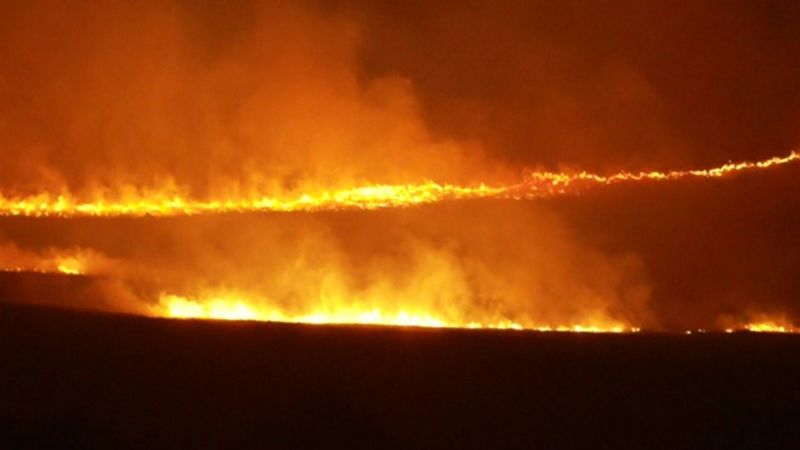 Northern Ireland plan to tackle 'resource-draining' wildfires - BBC News