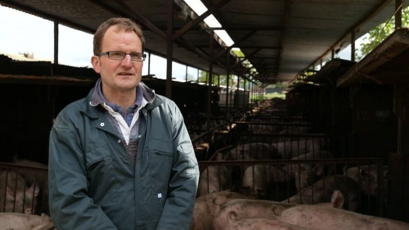 Pig farm in Shropshire to close due to rise in feed price - BBC News