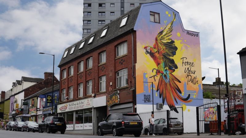 The artist behind some of Sheffield's colourful murals - BBC News