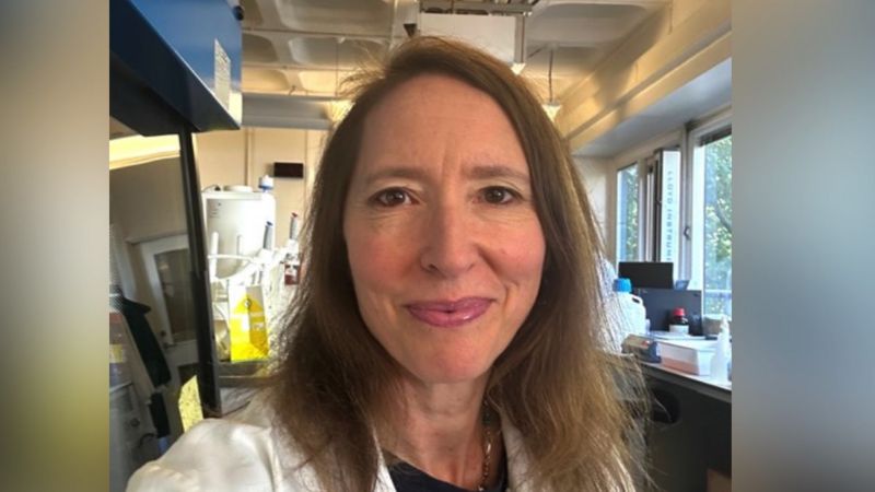 Women's health: My chronic UTI has shaped my whole life - BBC News