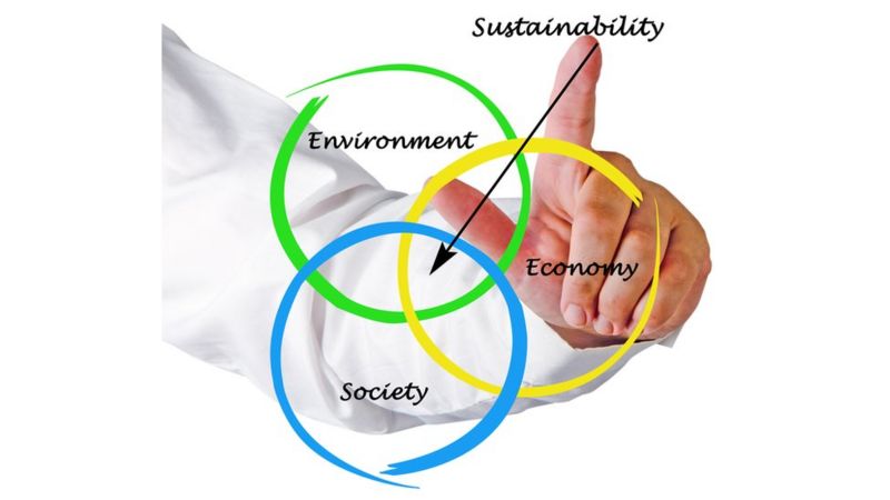 Is there an economic case for tackling climate change? - BBC News