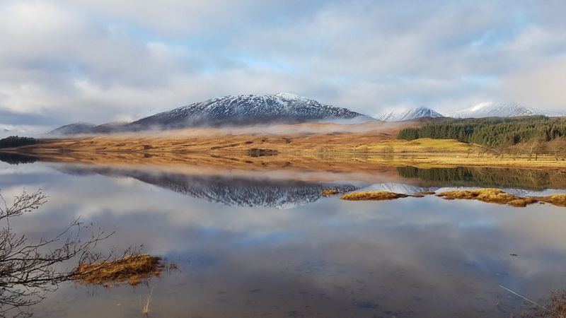 Your pictures of Scotland: 3 January - 10 January - BBC News