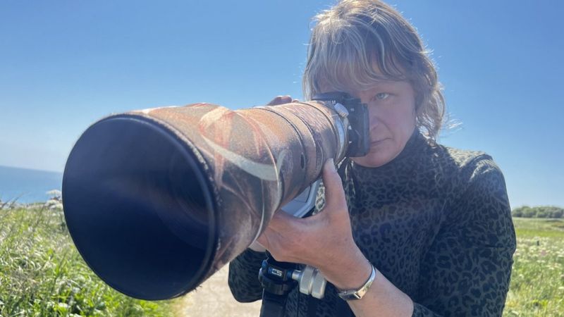 Wildlife lovers' joy at Bempton Cliffs summer bird spectacle - BBC News