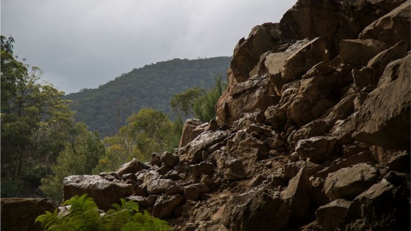 Tromp family: The mystery of a tech-free road trip gone wrong - BBC News