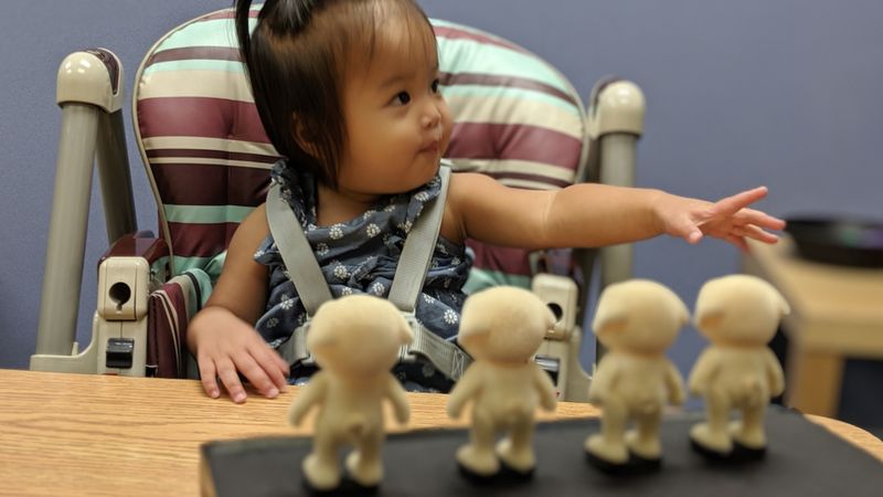 Even babies 'understand concept of counting' - BBC News
