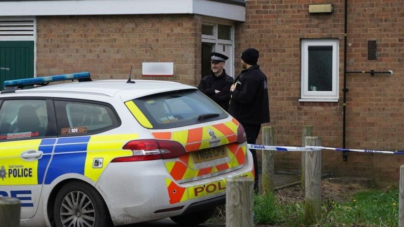 Sarah Brierley: Man and woman in court over Sheffield murder - BBC News