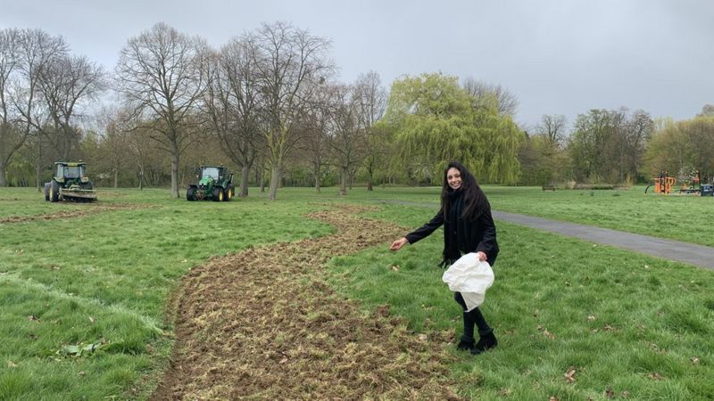 'Bee corridor' planted in London to boost insect numbers - BBC News