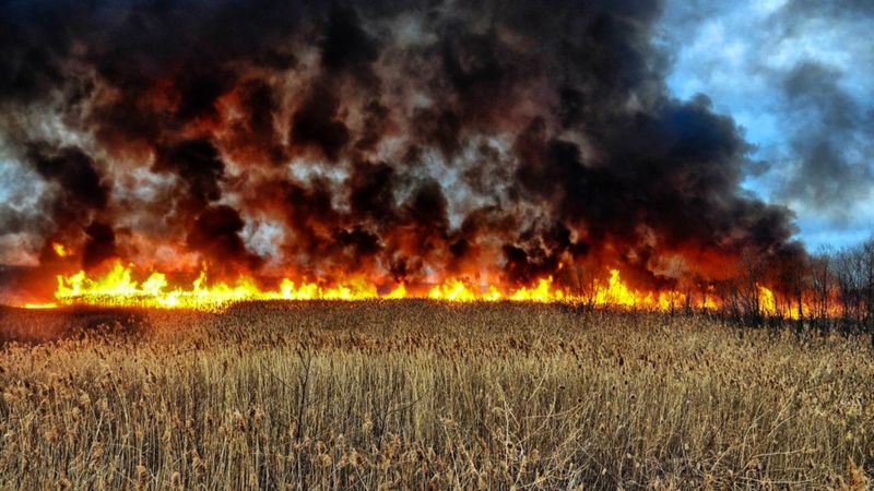 Crews win fight with wildfire between Barrhill and Newton Stewart - BBC ...