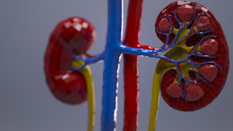 Why some cancers are 'born to be bad' - BBC News