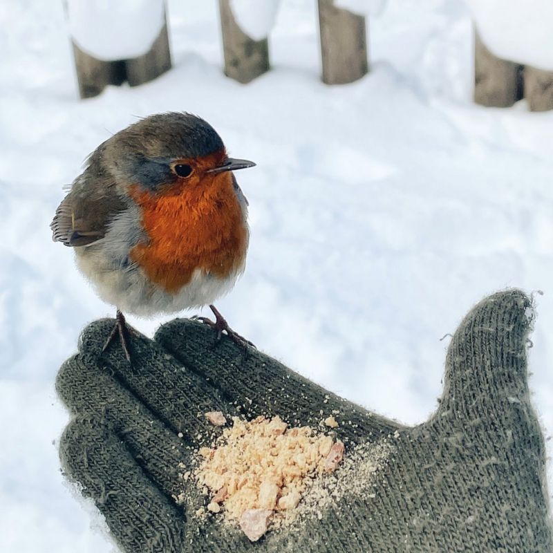Your pictures of Scotland 12 - 19 February - BBC News