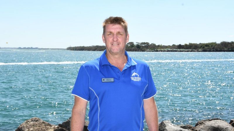 Rescuing whales on Australia's 'humpback highway' - BBC News