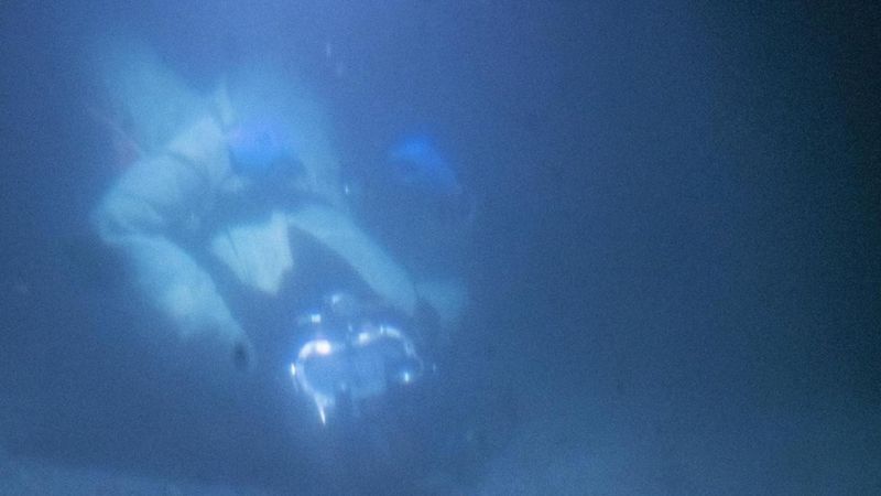 El extraordinario caso de Chris Lemons, el hombre que sobrevivió más de ...