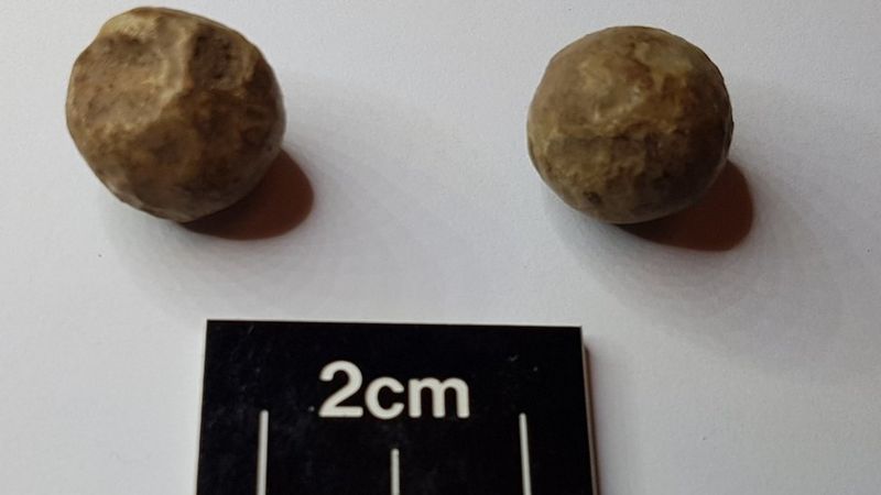 Musket balls unearthed in digs at Culloden Battlefield - BBC News