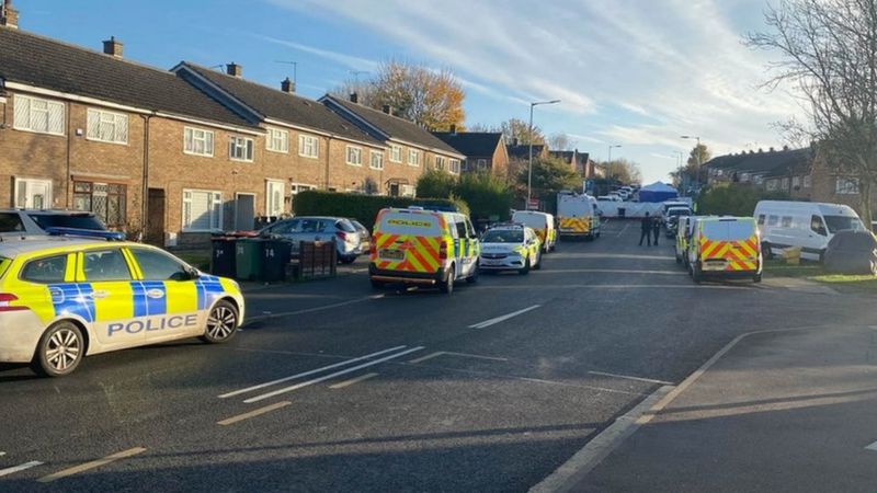 Houghton Regis: Two dead after triple stabbing - BBC News