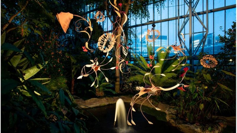 Barbican conservatory tropical art exhibition goes on show - BBC News