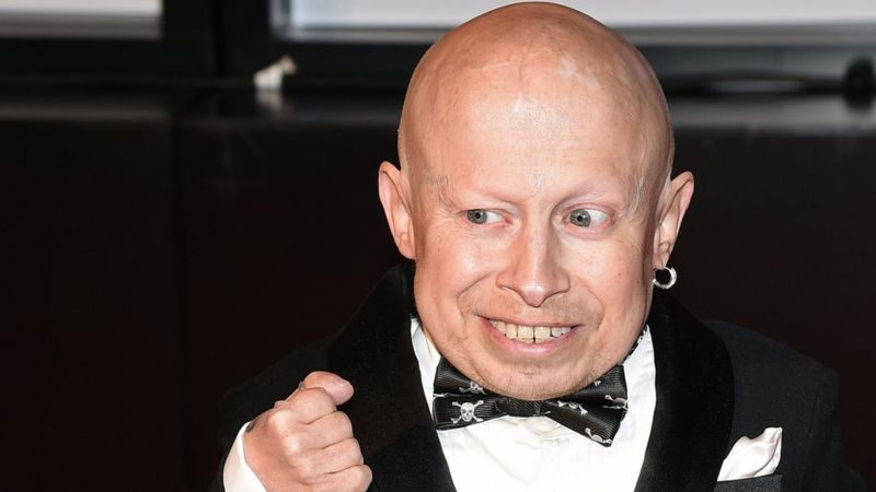 Mini-Me actor Verne Troyer being treated for alcoholism - BBC News